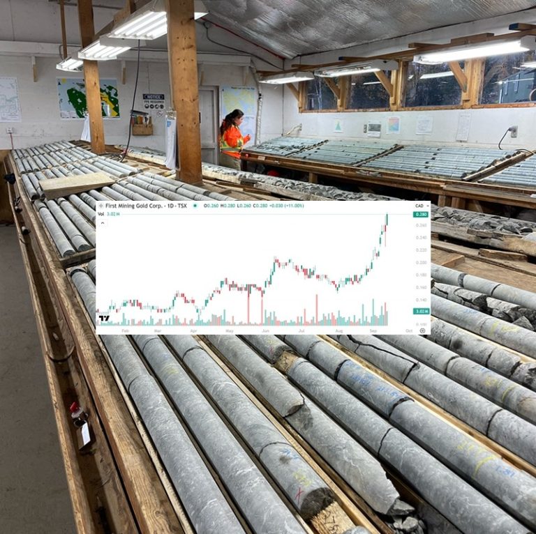 NIA – Preparing Americans for Hyperinflation