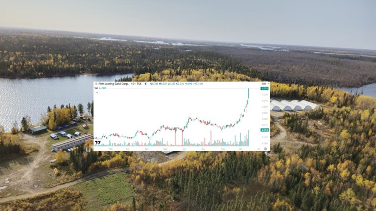 NIA – Preparing Americans for Hyperinflation